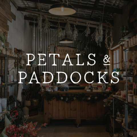 The Robertson Cheese Factory | The Robertson Cheese Factory